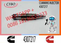 China New Fuel Injector 4327147 4307217 2897320 2894920PX 5579415 5579415PX 2872405 2894920 4327147RX 6513589PX for sale