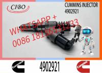 China Injector 3074219 4955149 4903472 4903319 4061851 4902921 4903084 for QSM11 ISM11 M11 Diesel Engine Parts Nozzle Assembly for sale