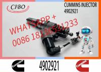 China Injector 3074219 4955149 4903472 4903319 4061851 4902921 4903084 for QSM11 ISM11 M11 Diesel Engine Parts Nozzle Assembly for sale