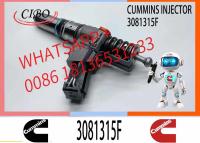 China Generator Diesel Engine N14 Fuel Injector 3407776 3409975 4902924 3081315F 3083846T 3083848F 3087560 3087733 3087807 6087807 for sale
