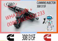 China Generator Diesel Engine N14 Fuel Injector 3407776 3409975 4902924 3081315F 3083846T 3083848F 3087560 3087733 3087807 6087807 for sale