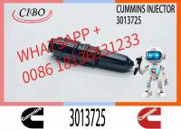 China NT855 NTA855 Diesel Marine Engine Fuel Injector 3013725 3054218 3054233 for sale