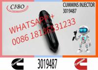 China 3054218 PTD Less Link Injector 3018566 3019487 3054213 3013725 Compatible with NT85 Diesel Engine Machinery Engine Parts for sale