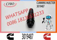 China 3054218 PTD Less Link Injector 3018566 3019487 3054213 3013725 Compatible with NT85 Diesel Engine Machinery Engine Parts for sale