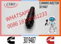 China 3054218 PTD Less Link Injector 3018566 3019487 3054213 3013725 Compatible with NT85 Diesel Engine Machinery Engine Parts for sale