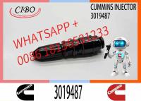 China 3054218 PTD Less Link Injector 3018566 3019487 3054213 3013725 Compatible with NT85 Diesel Engine Machinery Engine Parts for sale