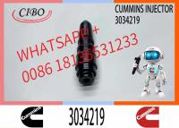 China YW49 for SD22 Bulldozer Chongqing Diesel Engine NT855 Injector 3032392 3034219 for sale