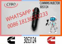 China Excavator Parts 3053124 Common Rail Fuel Injector 3016676 3016675 Compatible With Cummin Nta855-g3 Kta19 Qsk19 Best Selling for sale