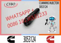 China Excavator Parts 3053124 Common Rail Fuel Injector 3016676 3016675 Compatible With Cummin Nta855-g3 Kta19 Qsk19 Best Selling for sale