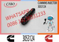 China Excavator Parts 3053124 Common Rail Fuel Injector 3016676 3016675 Compatible With Cummin Nta855-g3 Kta19 Qsk19 Best Selling for sale