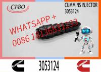 China Excavator Parts 3053124 Common Rail Fuel Injector 3016676 3016675 Compatible With Cummin Nta855-g3 Kta19 Qsk19 Best Selling for sale