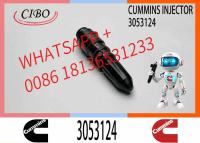 China Excavator Parts 3053124 Common Rail Fuel Injector 3016676 3016675 Compatible With Cummin Nta855-g3 Kta19 Qsk19 Best Selling for sale