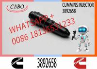 China KTA50 Fuel Injector 3609962 3892658 4060963 diesel Engine Parts for Generator for sale