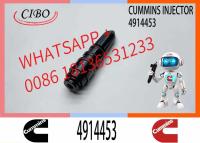 China High Quality Common Rail diesel Fuel Injector 4914453 4914458 for sale