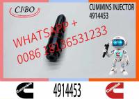 China High Quality Common Rail diesel Fuel Injector 4914453 4914458 for sale