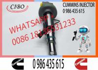 China High Pressure Fuel Pump4089972 4928106 4955524 4955525 0 986 435 611 0 986 435 612 F 00B L0J 017 F 00B L0J 018 for sale