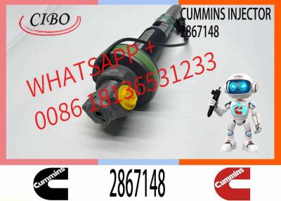 China Diesel Fuel Injector 2867149 2867147 2867148 2882079 4964173 4955527 4918073 4964170 4955524 QSK19 QSK60 diesel Engine Parts for sale