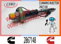 China Diesel Fuel Injector 2867149 2867147 2867148 2882079 4964173 4955527 4918073 4964170 4955524 QSK19 QSK60 diesel Engine Parts for sale