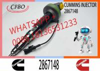 China Diesel Fuel Injector 2867149 2867147 2867148 2882079 4964173 4955527 4918073 4964170 4955524 QSK19 QSK60 diesel Engine Parts for sale