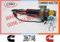 China Diesel Fuel Injector 2867149 2867147 2867148 2882079 4964173 4955527 4918073 4964170 4955524 QSK19 QSK60 diesel Engine Parts for sale