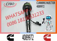 China 1PCS Fuel Injectors 4964170 4955524 4928106 4924587 4089972 F00BL0J019 F00BL0J020 0986435612 Y431K05141 Y431K05205 Y431K05249 for sale