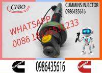 China Fuel Injector 0986435613 0986435616 2867147 2882077 F00BJ00000 F00BJ00001 0986435900 Y431K05392 Hot-selling Auto Parts for sale