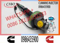 China Fuel Injector 0986435613 0986435616 2867147 2882077 F00BJ00000 F00BJ00001 0986435900 Y431K05392 Hot-selling Auto Parts for sale