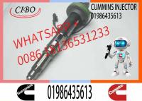 China Genuine Fuel Injector Assembly F00BJ00002 01986435613 0986435902 0986435905 0986435616 F00BJO0008For Qsk19 Engine for sale