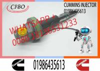 China Genuine Fuel Injector Assembly F00BJ00002 01986435613 0986435902 0986435905 0986435616 F00BJO0008For Qsk19 Engine for sale
