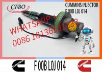 China High Pressure Fuel PumpF 00B L0J 014 Y 431 K05 199 Y 431 K05 248 for sale