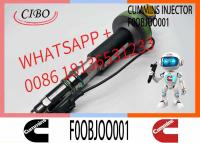 China Direct Engine Injection Nozzle for QSK19 Engine F0OBJOO001 F00BJ00005 0986435614 2867149 2882079 Construction Machinery Parts for sale