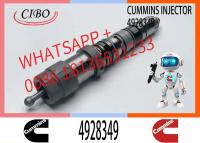 China Common Rail Injector Fuel Injecto 4326779 4928346 4928349 for QSK23 Excavator QSK23 QSK45 QSK60 for sale