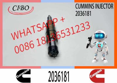 China BDHCD Diesel Fuel Injector 2036181 Common Rail Fuel Injector 574425 for Scania Truck DC13 DC16 Engine for sale