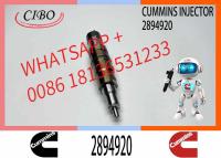 China DSGENUINE 5579415 5579417 2894920 2872405 ISX15 CRI D10 ISX XPI diesel Engine Fuel Injector 5579415 5579417 2894920 2872405 for sale