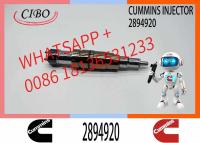 China DSGENUINE 5579415 5579417 2894920 2872405 ISX15 CRI D10 ISX XPI diesel Engine Fuel Injector 5579415 5579417 2894920 2872405 for sale