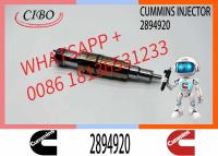 China DSGENUINE 5579415 5579417 2894920 2872405 ISX15 CRI D10 ISX XPI diesel Engine Fuel Injector 5579415 5579417 2894920 2872405 for sale