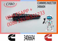 China New Diesel Common Rail Injector 3406604 3411821 3071497 3087648 4914328 3018835 3079946 for C-ummins M11 Engine Steel Material for sale
