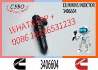 China New Diesel Common Rail Injector 3406604 3411821 3071497 3087648 4914328 3018835 3079946 for C-ummins M11 Engine Steel Material for sale