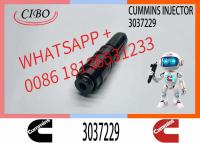 China Brand NEW DSGENUINE L10 Common Rail Diesel Fuel Injector 3037229 3027588 3045102 for sale