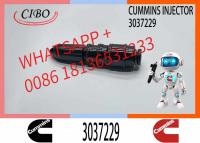 China Brand NEW DSGENUINE L10 Common Rail Diesel Fuel Injector 3037229 3027588 3045102 for sale