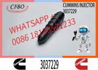 China Brand NEW DSGENUINE L10 Common Rail Diesel Fuel Injector 3037229 3027588 3045102 for sale