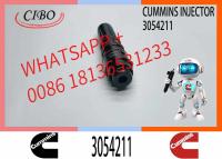 China Construction Machinery NT855 Engine Spare Part Fuel Injector 3054211 Injector Nozzle for NTA855 Engine for sale