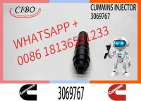 China High performance NT855 diesel engine fuel injectors 3069767 3059424 for bulldozer earthmover use for sale