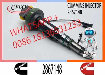 China Common Rail Injector 2882079 4964172 4964170 4955524 2867148 2867149 4964171 for QSK19 QSK38 QSK50 QSK60 Diesel Engine for sale
