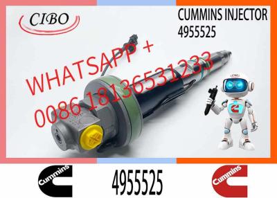 China New Condition Diesel Fuel Injector 4964171 4955525 for QSK19 QSK38 QSK50 QSK60 Engines QSK19 QSK38 QSK50 QSK60 for sale