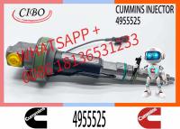 China New Condition Diesel Fuel Injector 4964171 4955525 for QSK19 QSK38 QSK50 QSK60 Engines QSK19 QSK38 QSK50 QSK60 for sale