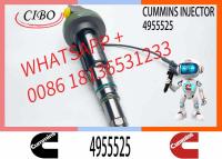China New Condition Diesel Fuel Injector 4964171 4955525 for QSK19 QSK38 QSK50 QSK60 Engines QSK19 QSK38 QSK50 QSK60 for sale