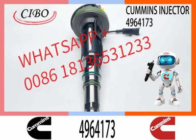 China Hot-Sale QSK Engine Spare Parts Diesel Fuel Injector 4964173 496 4173 4964 173 for sale