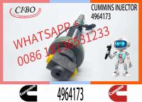China Hot-Sale QSK Engine Spare Parts Diesel Fuel Injector 4964173 496 4173 4964 173 for sale