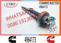 China Hot-Sale QSK Engine Spare Parts Diesel Fuel Injector 4964173 496 4173 4964 173 for sale